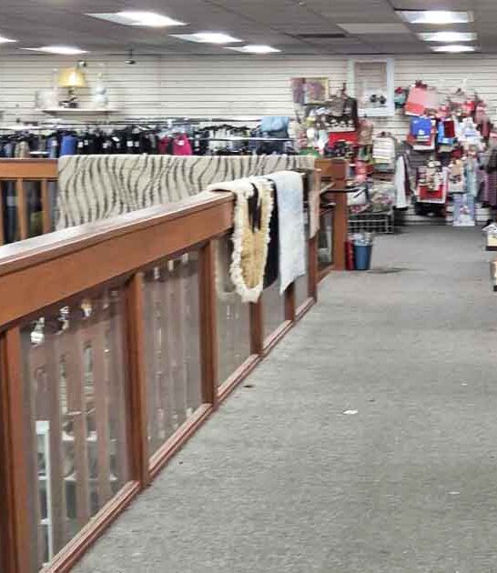 enormous thrift collectors washington ftr