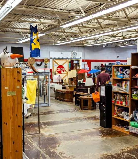epic thrift stores michigan ftr