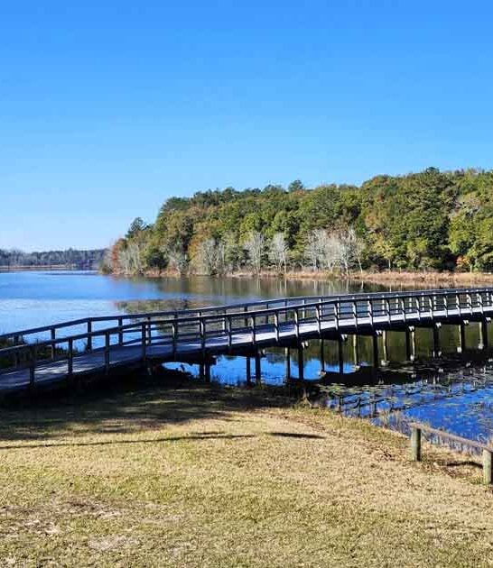 escape alabama park scenic ftr