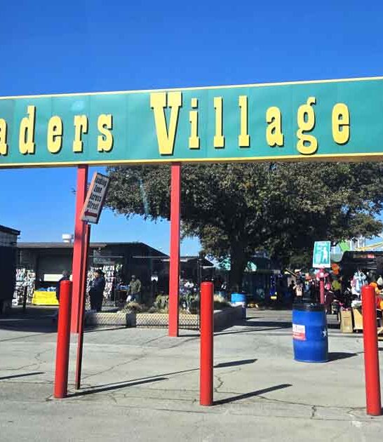 everyone visits texas markets ftr