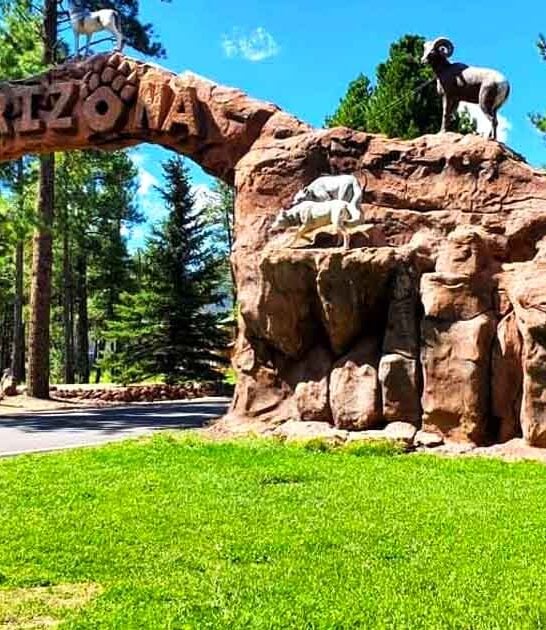 exotic animals arizona safari ftr