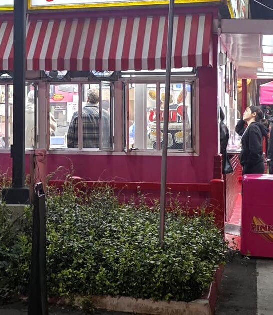 famous california hot dog ftr