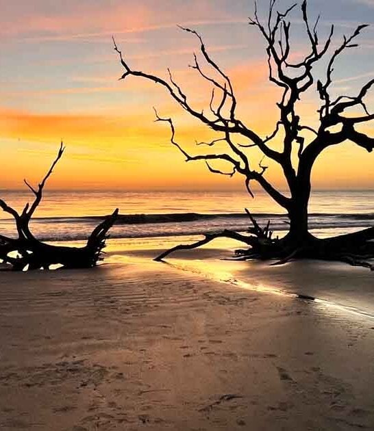 fascinating georgia beach ftr