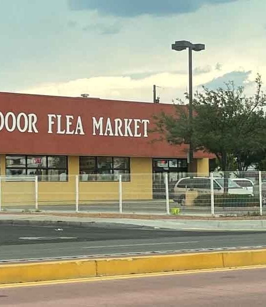 flea adventure new mexico ftr