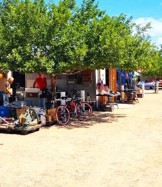 flea arizona market worthy ftr