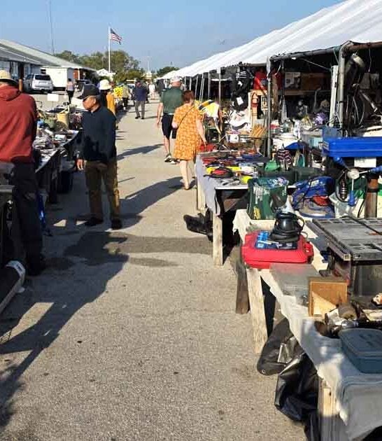 flea enormous florida fills ftr