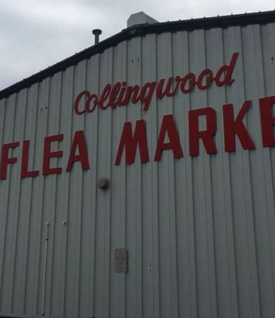 flea finds new jersey ftr