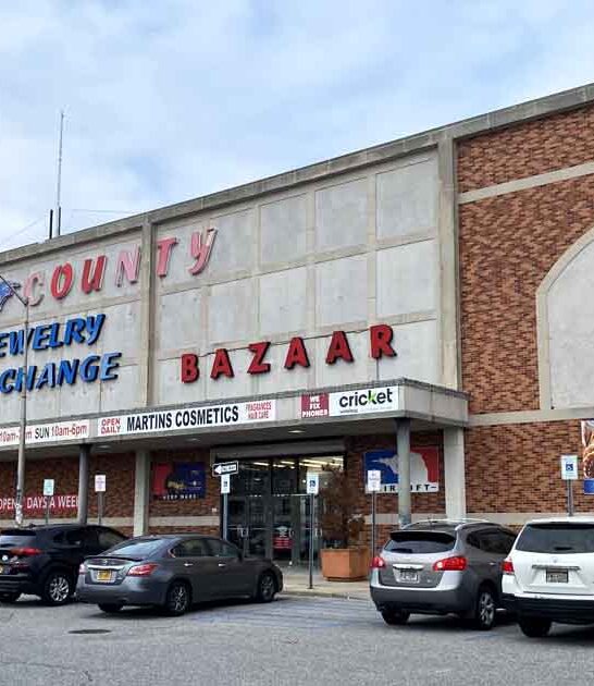 flea finds new york ftr