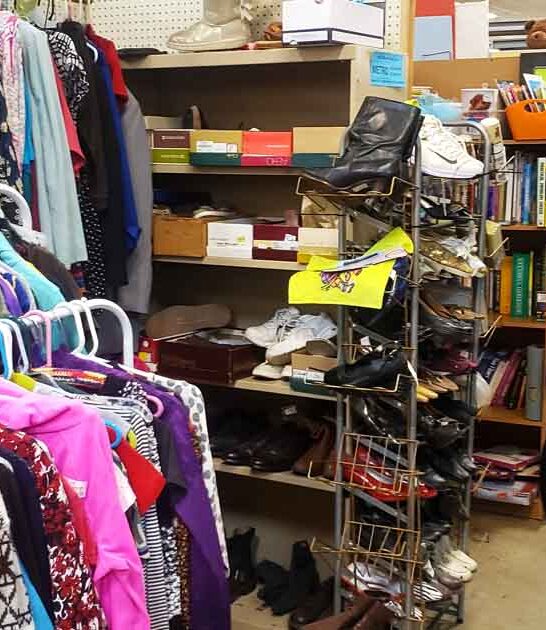 flea indiana shockingly cheap ftr