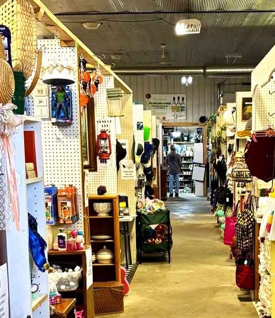 flea market bargains indiana ftr