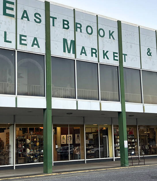 flea market deals alabama ftr