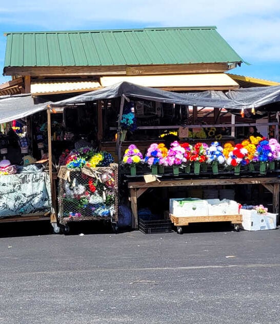 flea tennessee market massive ftr