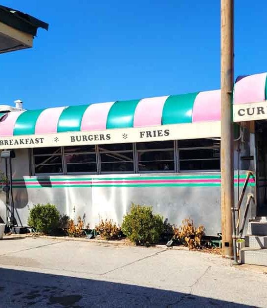 florida diner pure nostalgia ftr