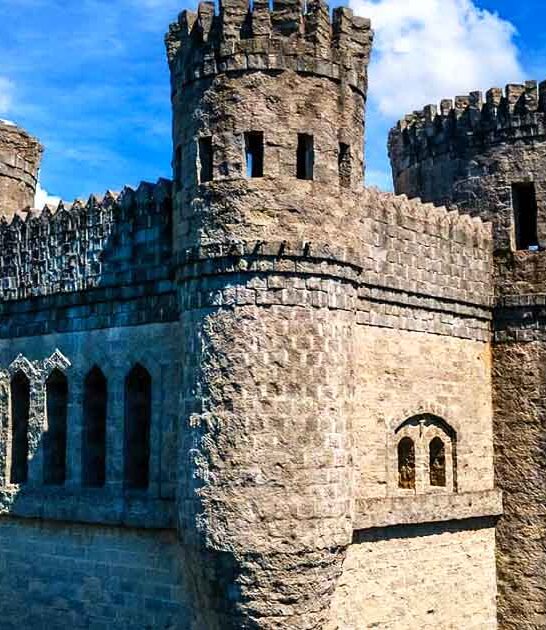 florida enchanting irish castle ftr