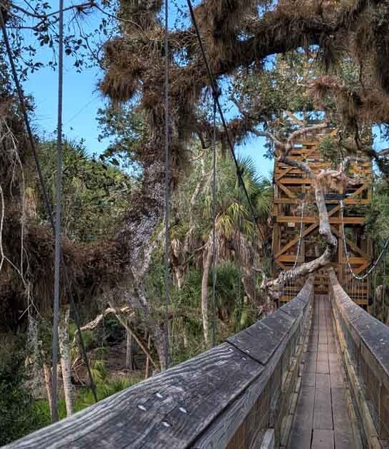 florida insane state parks ftr