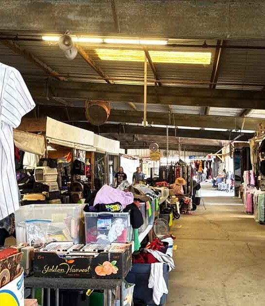 florida markets bargain hunting ftr