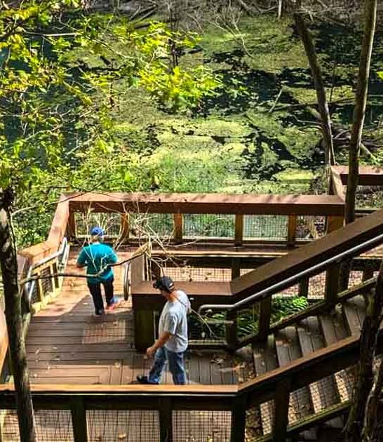 florida stunning state parks ftr