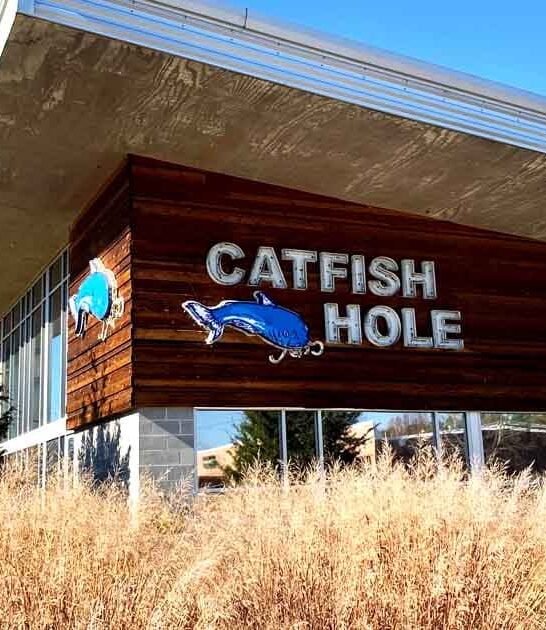 fried catfish arkansas trip ftr