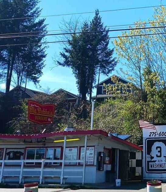 fried pickles restaurant washington ftr