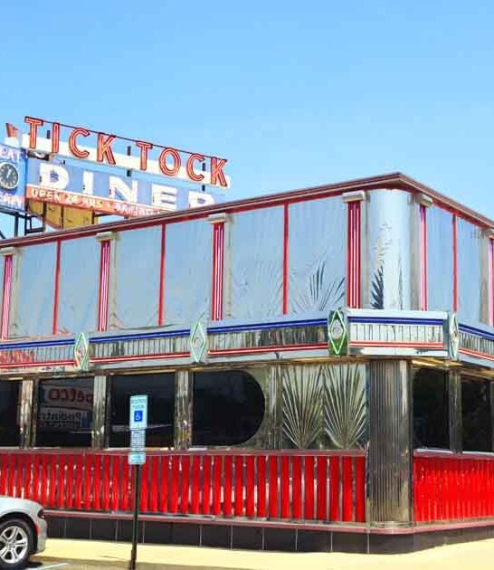 fries diner new jersey ftr