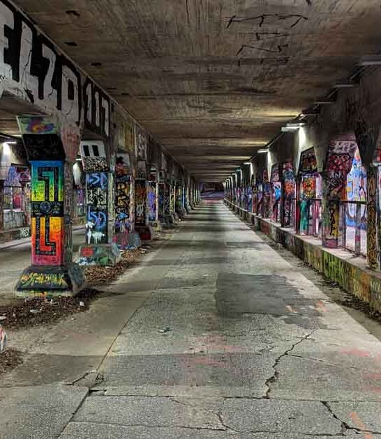 georgia funky tunnel art ftr