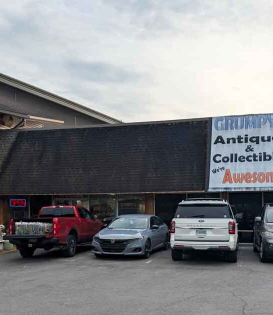 georgia huge antique store ftr