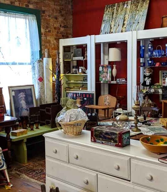 georgia hunt bargains store ftr