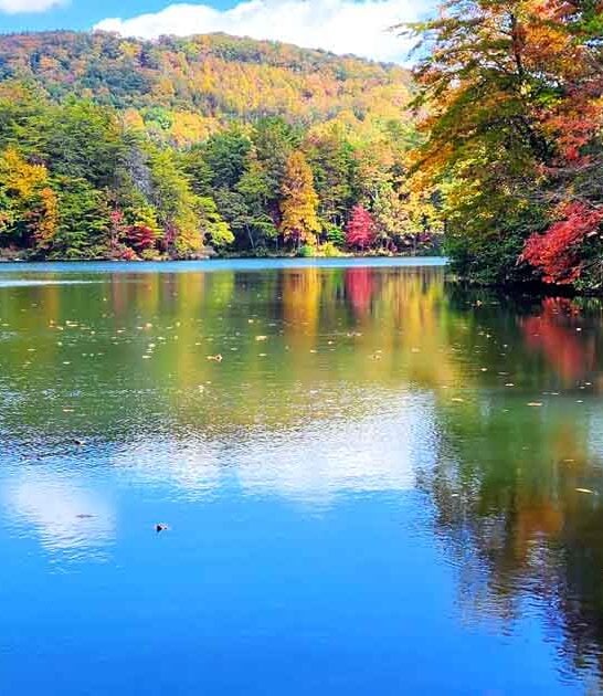 georgia most underrated parks ftr