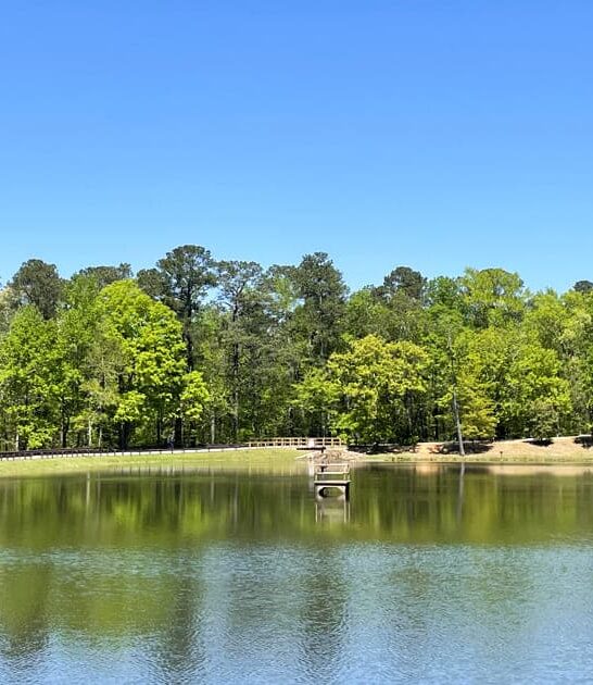 georgia perfect state park ftr