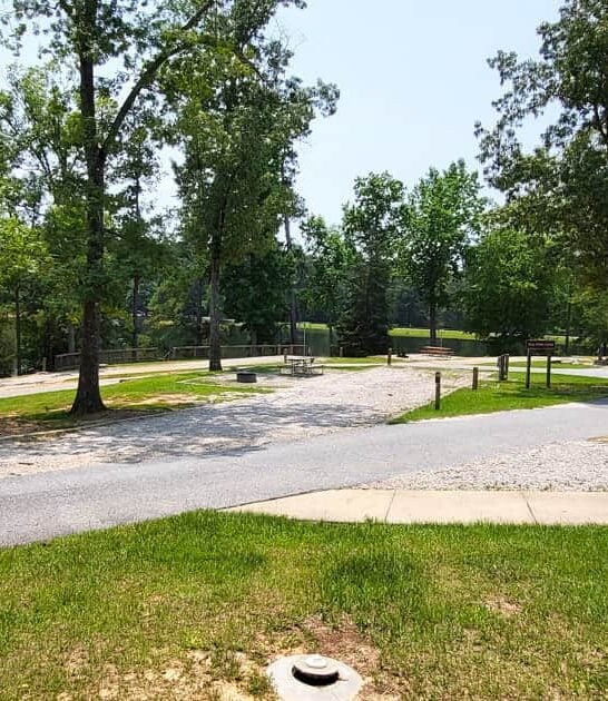 georgia state park stunning ftr