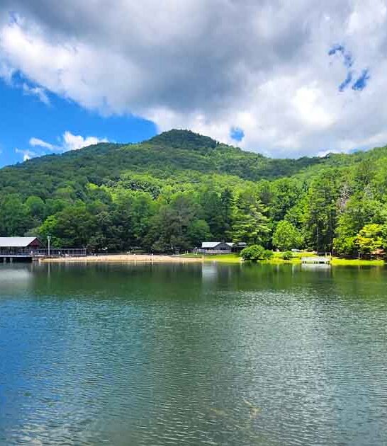 georgia state parks ftr