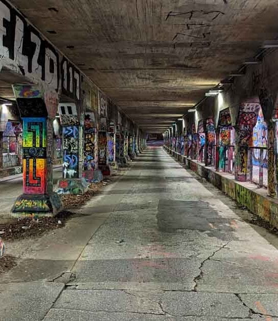 georgia stunning tunnel art ftr