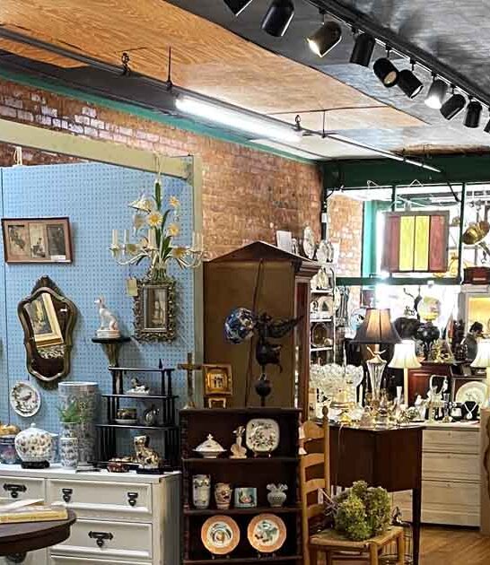 georgia thrift hunting store ftr