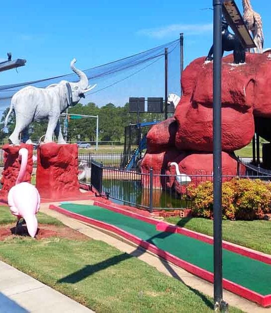 georgia tiny amusement park ftr