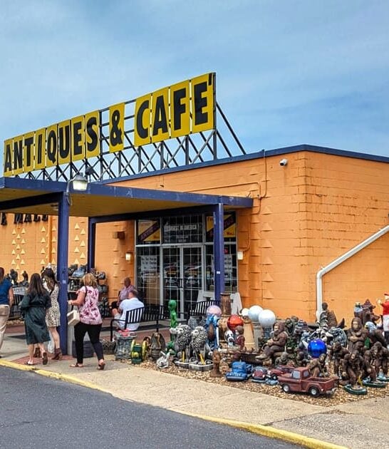 giant virginia thrift store ftr