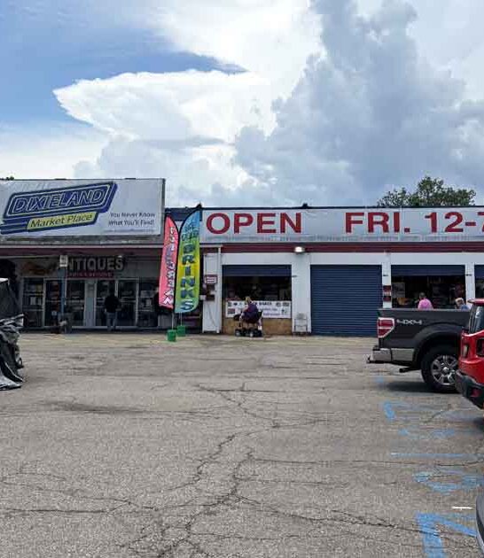 gigantic michigan flea market ftr