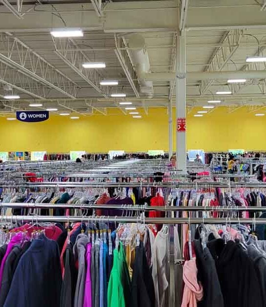 gigantic thrift minnesota mind ftr