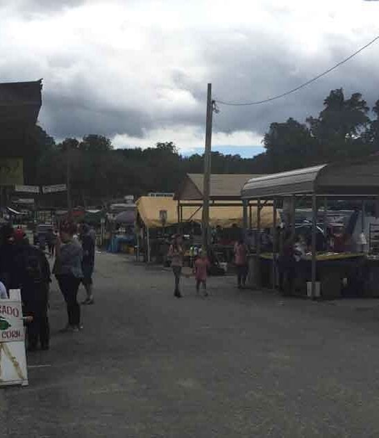 ginormous north carolina market ftr