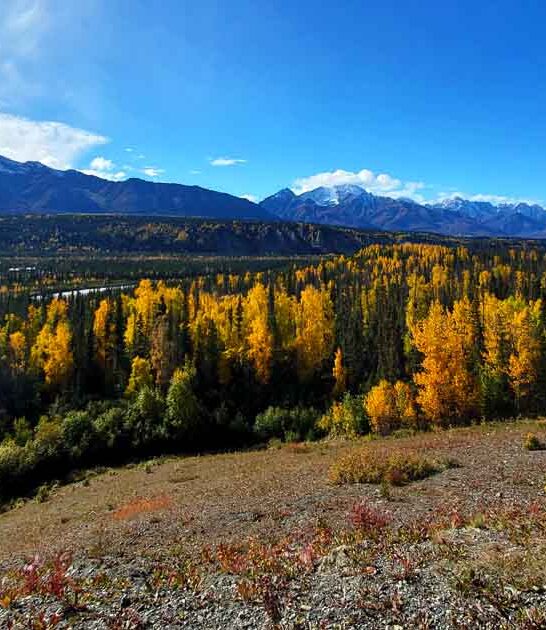 gorgeous alaska state park ftr
