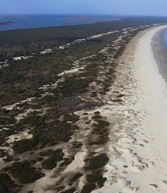 gorgeous georgia islands ftr