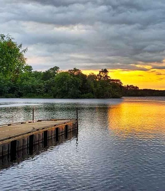 gorgeous new jersey park ftr