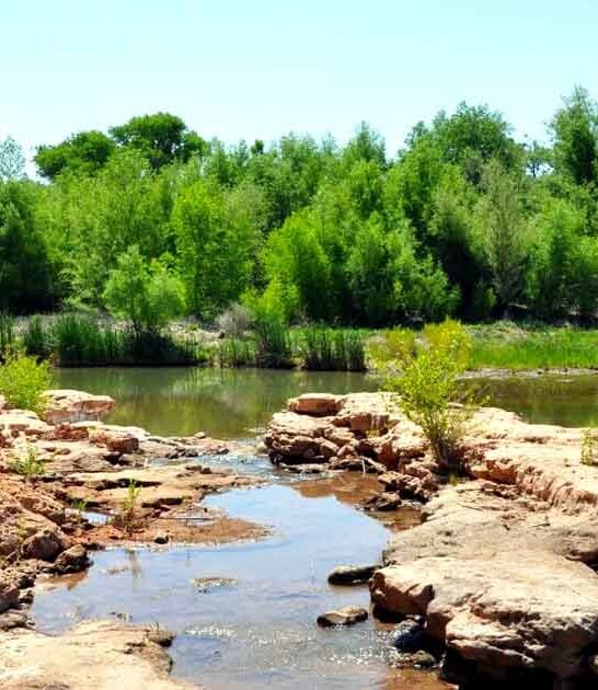 gorgeous park arizona true ftr