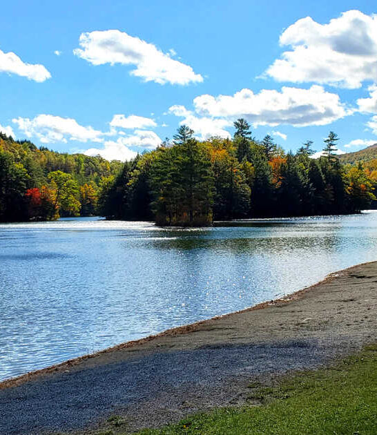 gorgeous park state vermont ftr