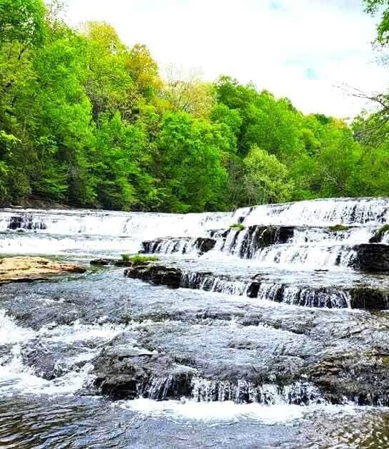 gorgeous park tennessee state ftr