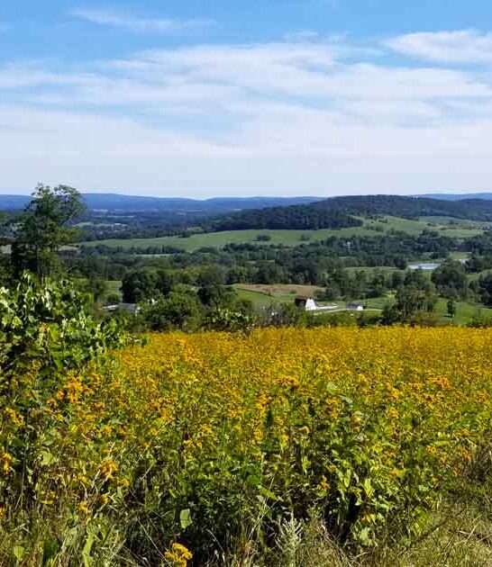 gorgeous park virginia ftr