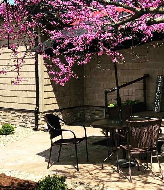 gourmet cabin bistro ohio ftr