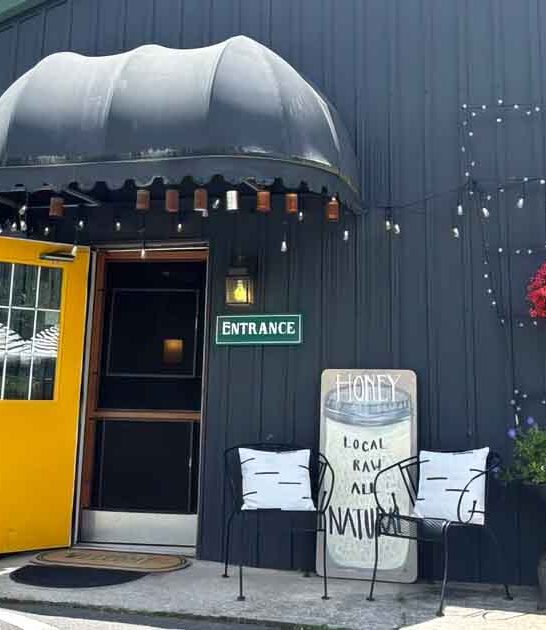 grilled trout north carolina ftr