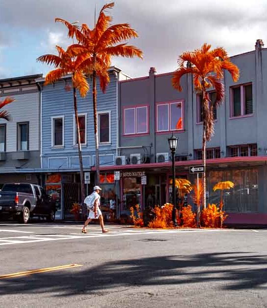 hawaii affordable retirees town ftr