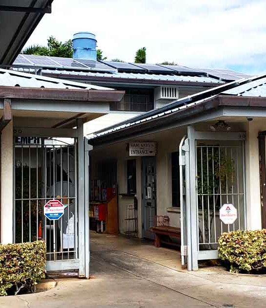 hawaii outrageously delicious food ftr