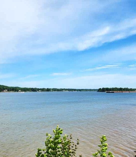 hiding remains indiana park ftr